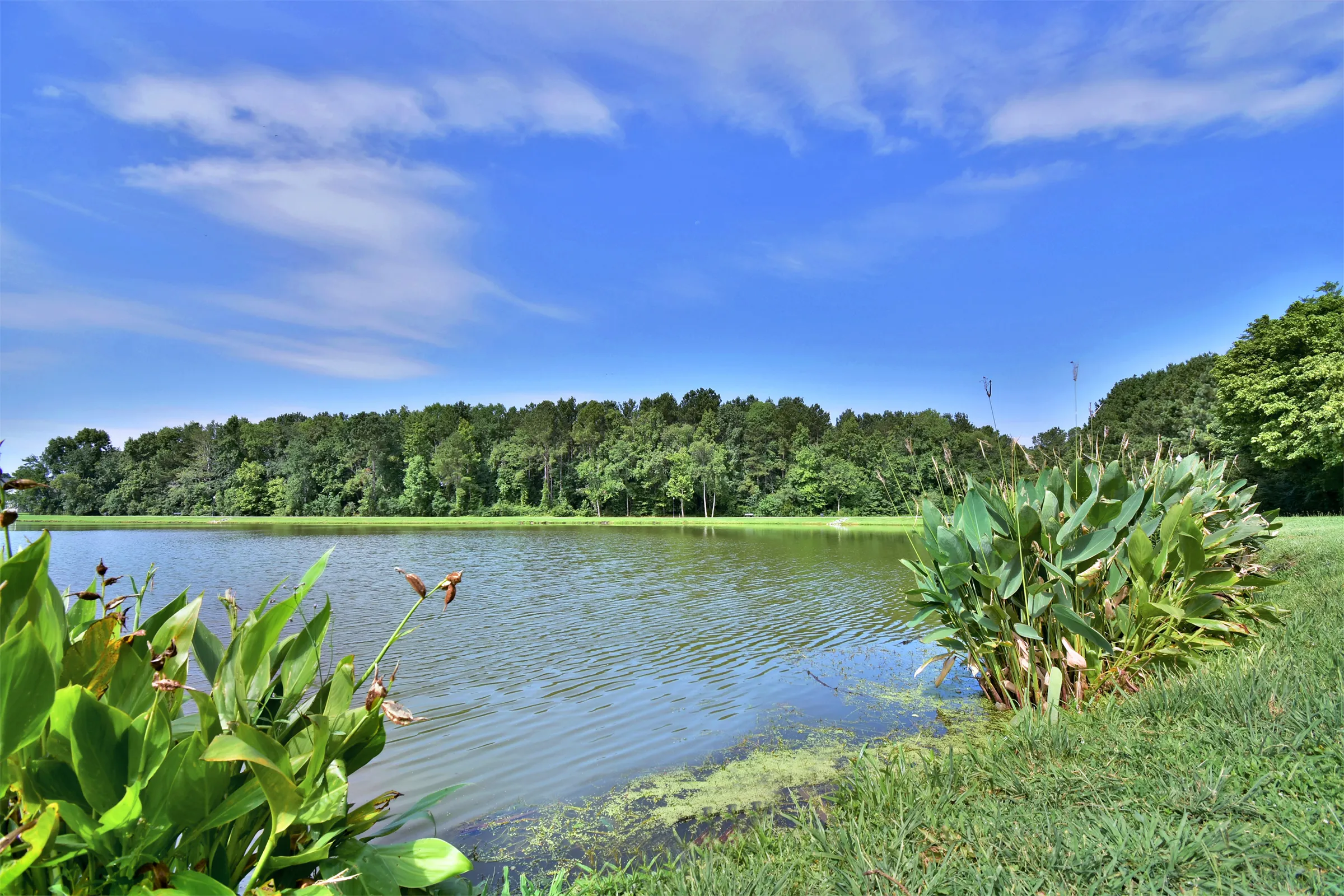 Goose Creek, SC rated in Best Places to Live by Money | Money