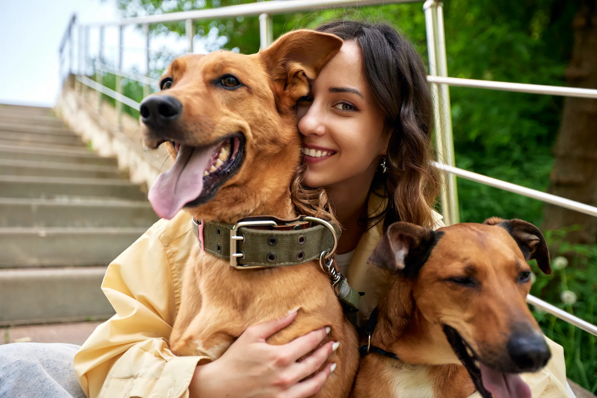 Best Pet Insurance In Iowa Money Best Pet Insurance In Iowa Money